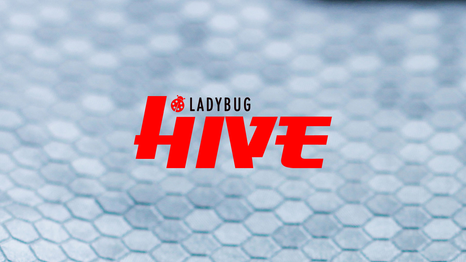 HIVE by Ladybug